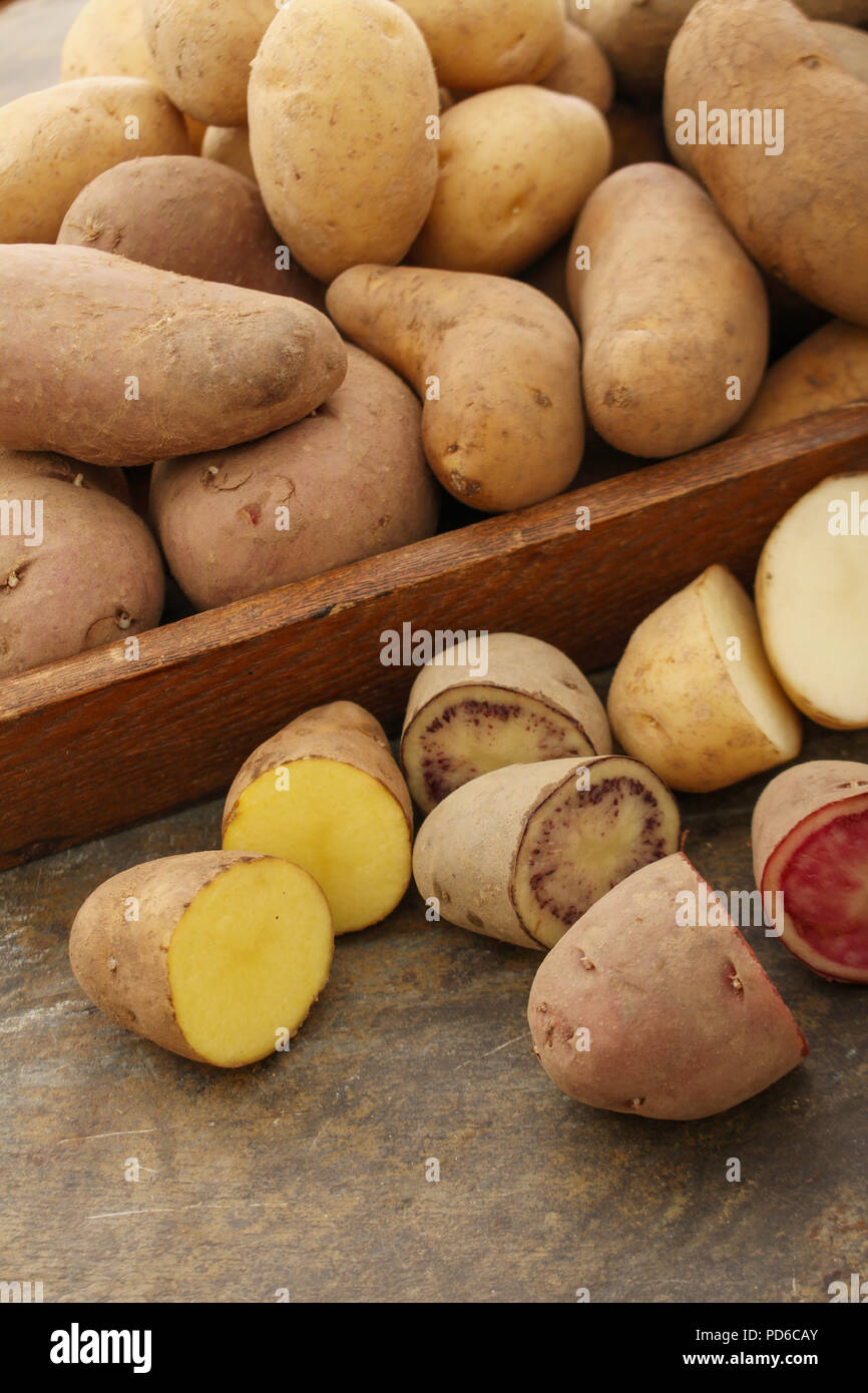 Mixed heritage potatoes hi-res stock photography and images - Alamy