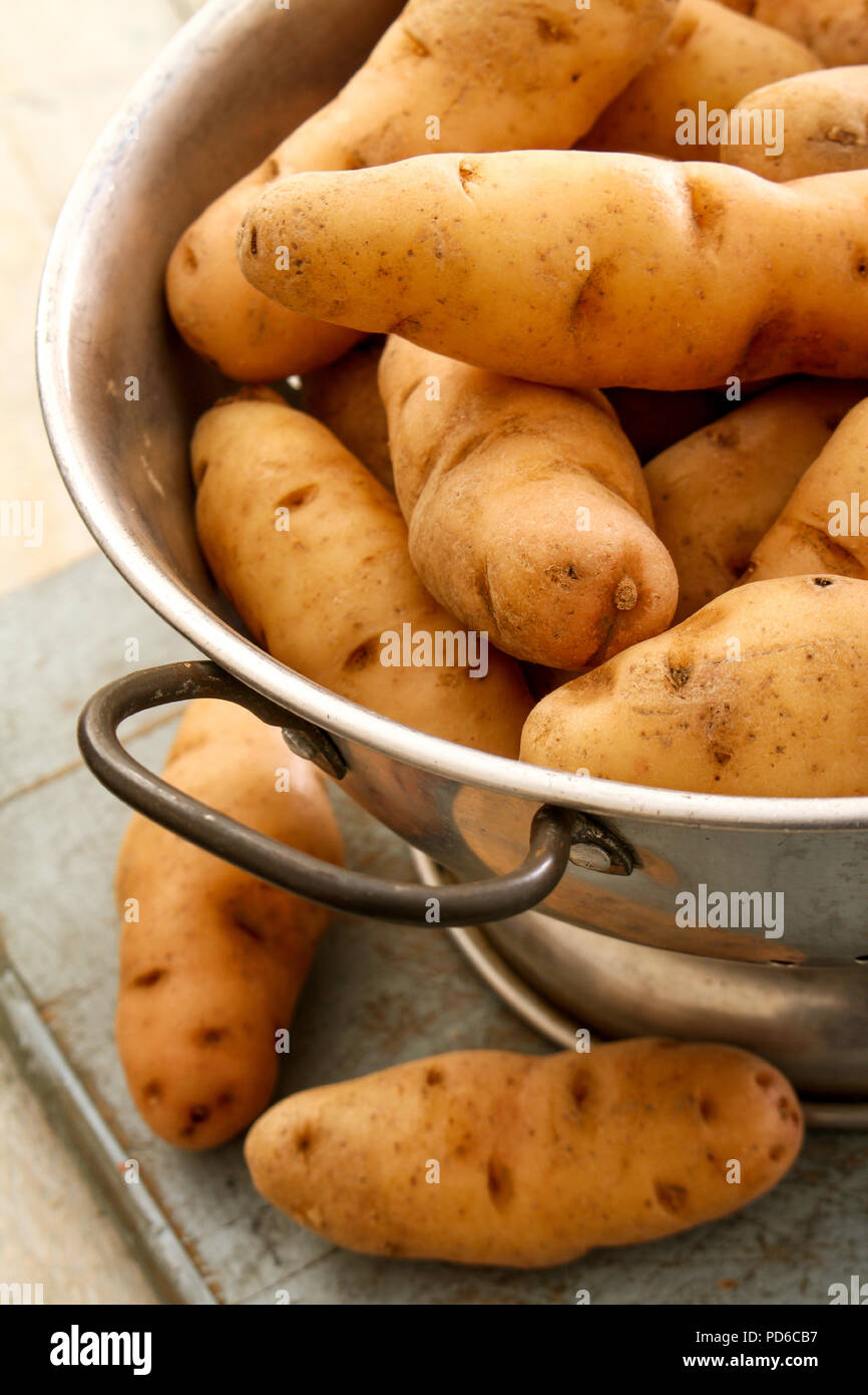 preparing heritage potatoes Stock Photo - Alamy
