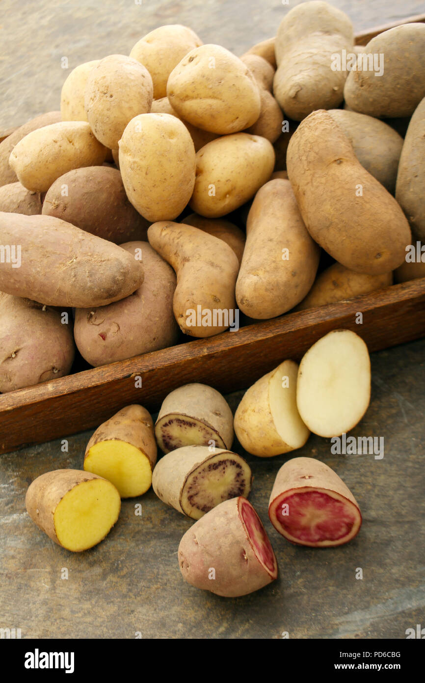 preparing heritage potatoes Stock Photo - Alamy
