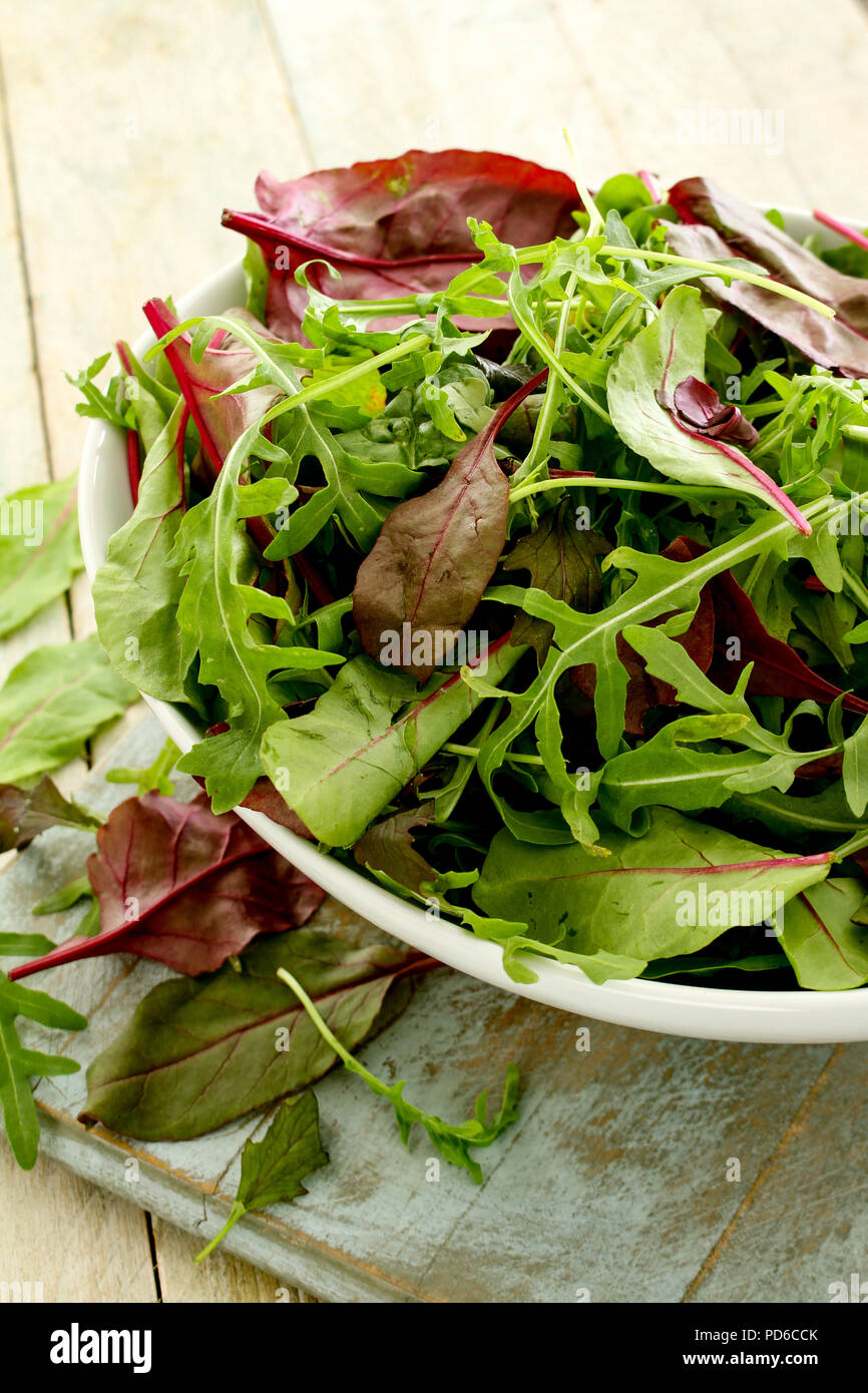 Washed mixed leaves hi-res stock photography and images - Alamy