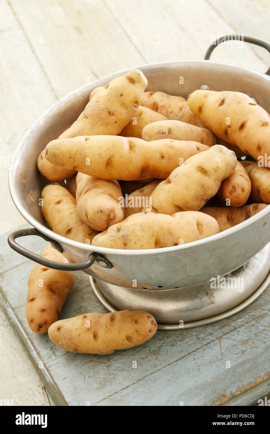 preparing heritage potatoes Stock Photo - Alamy