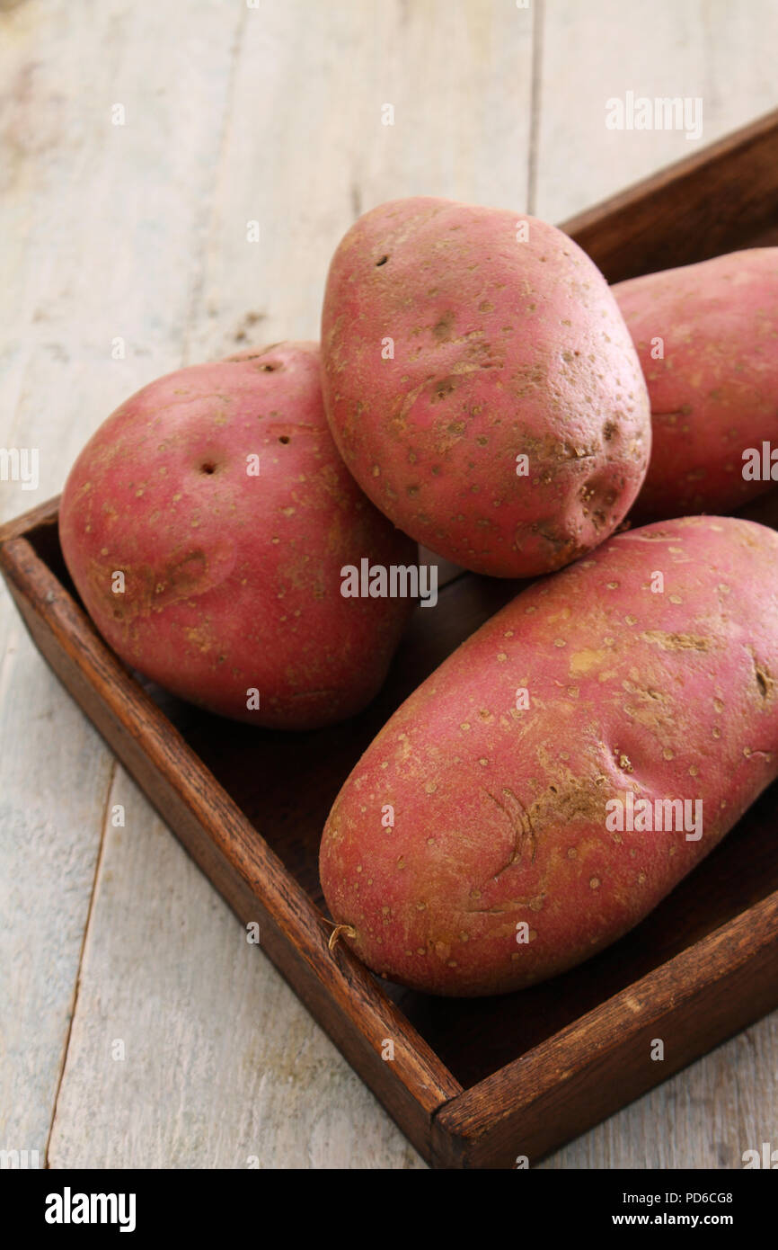 preparing heritage potatoes Stock Photo - Alamy