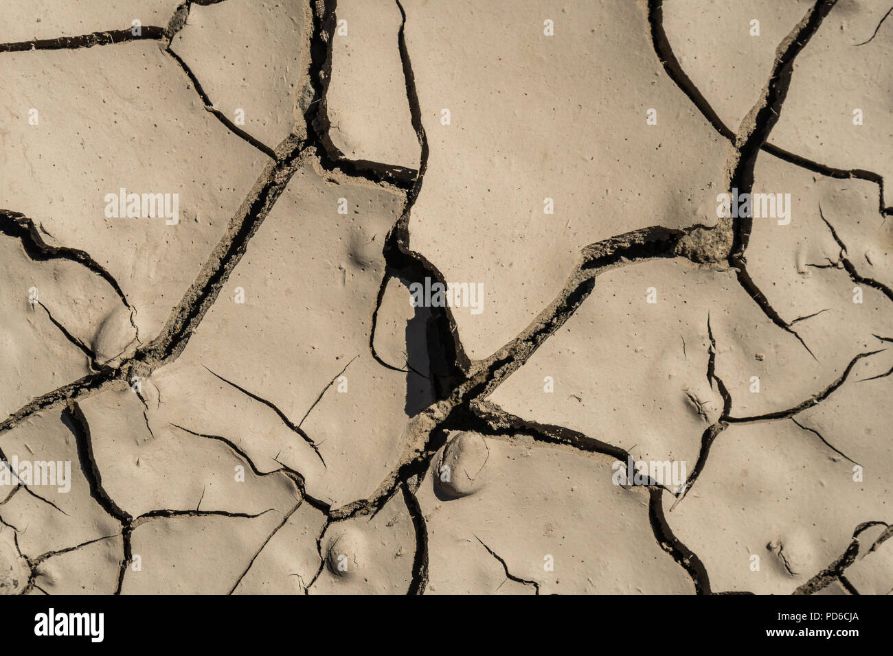 Details of cracked dried mud in sunlight, texture Stock Photo - Alamy