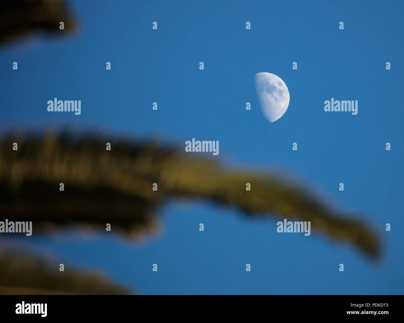 Super crescent moon hi-res stock photography and images - Alamy