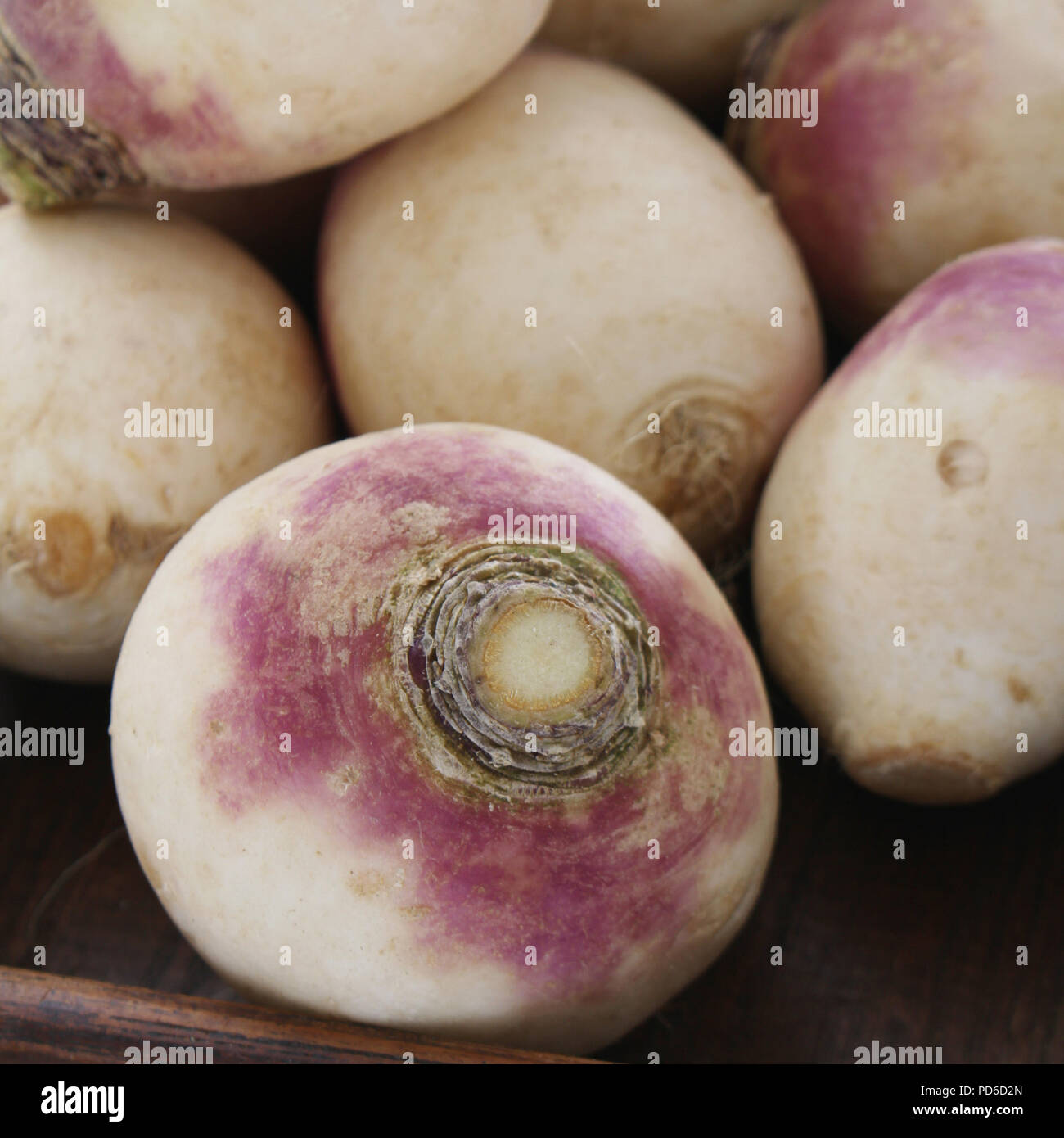 preparing fresh turnip Stock Photo - Alamy