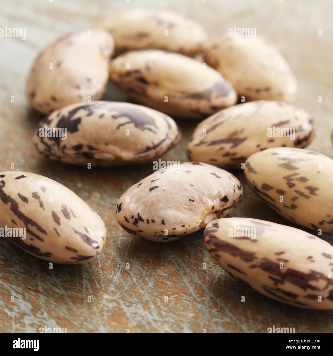 fresh raw borlotti beans Stock Photo - Alamy