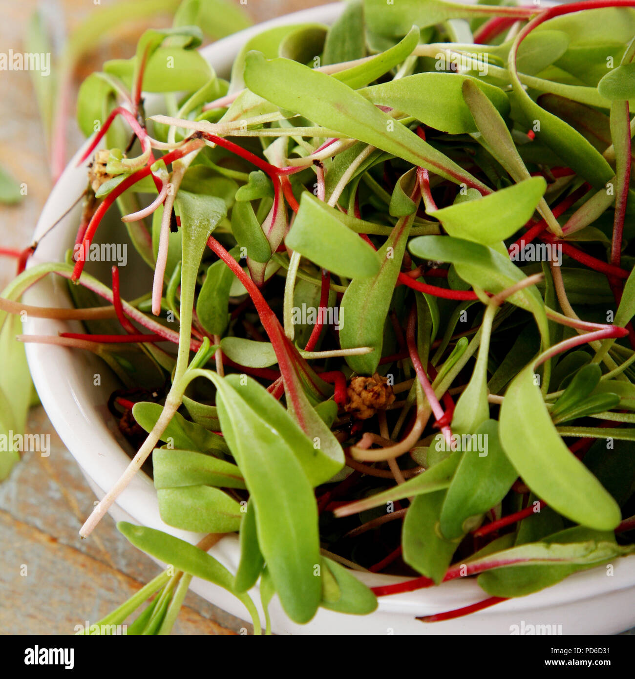 fresh micro herbs Stock Photo - Alamy