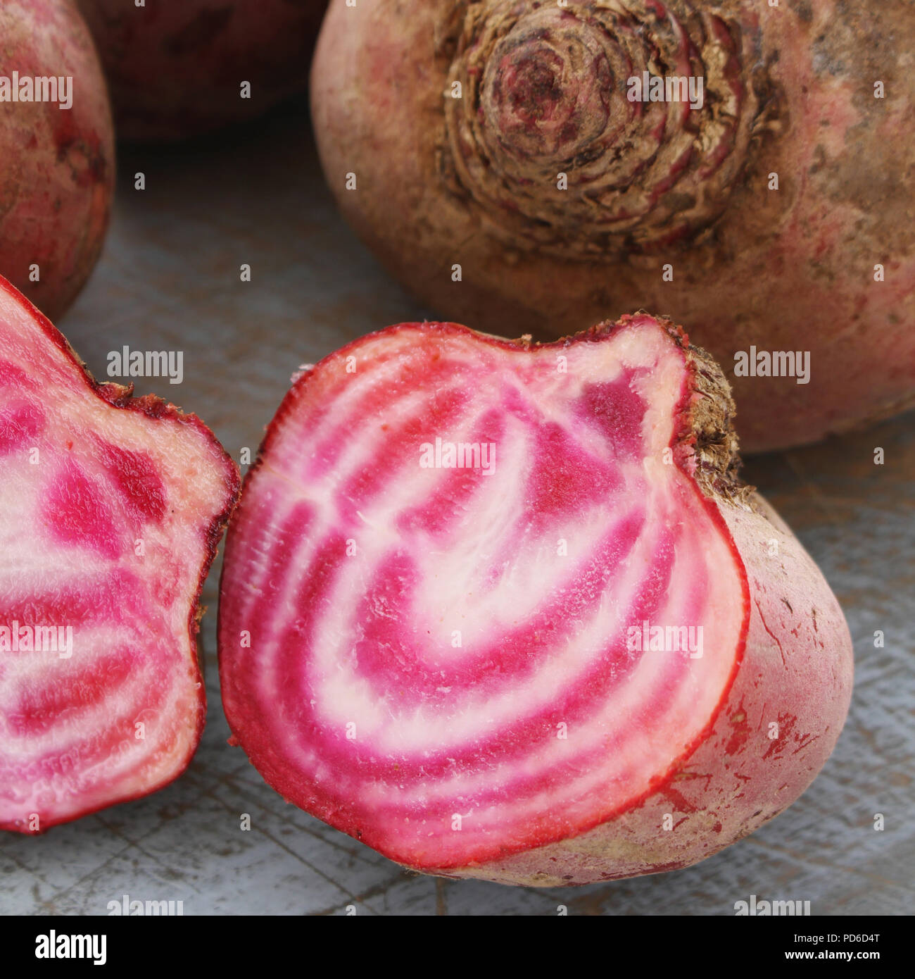 Heritage candy beetroot hi-res stock photography and images - Alamy