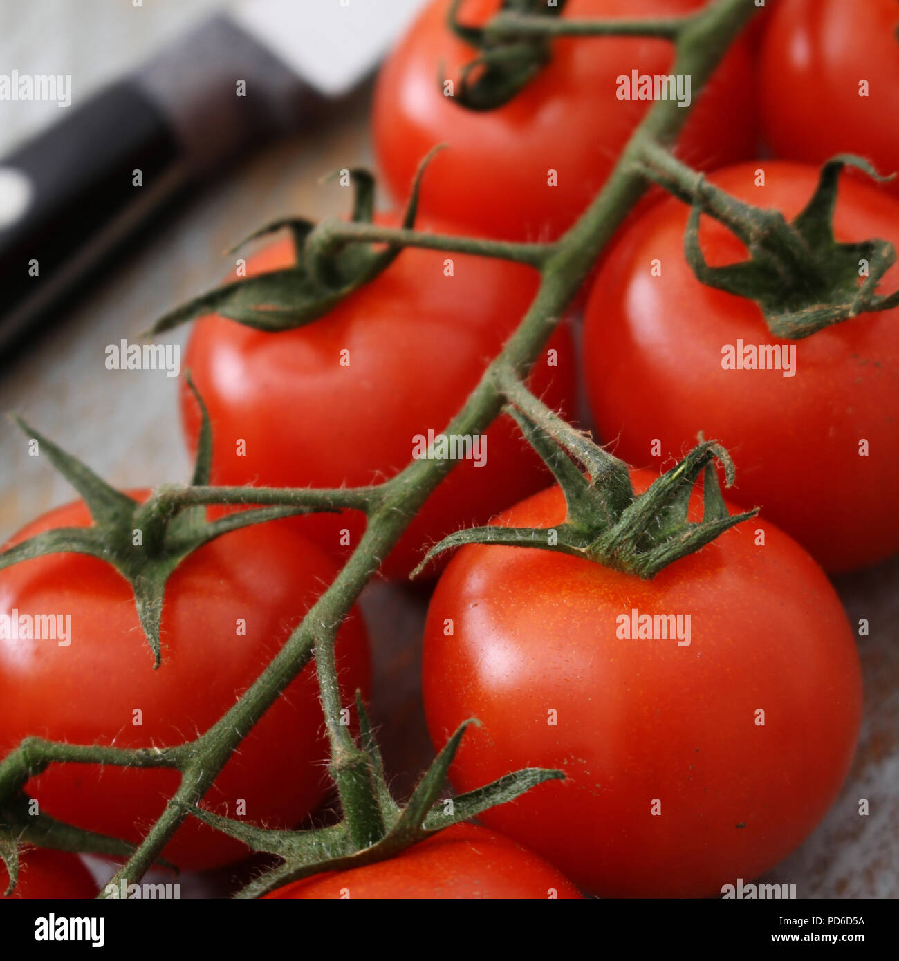 Piccolino Tomatoes High Resolution Stock Photography and Images - Alamy