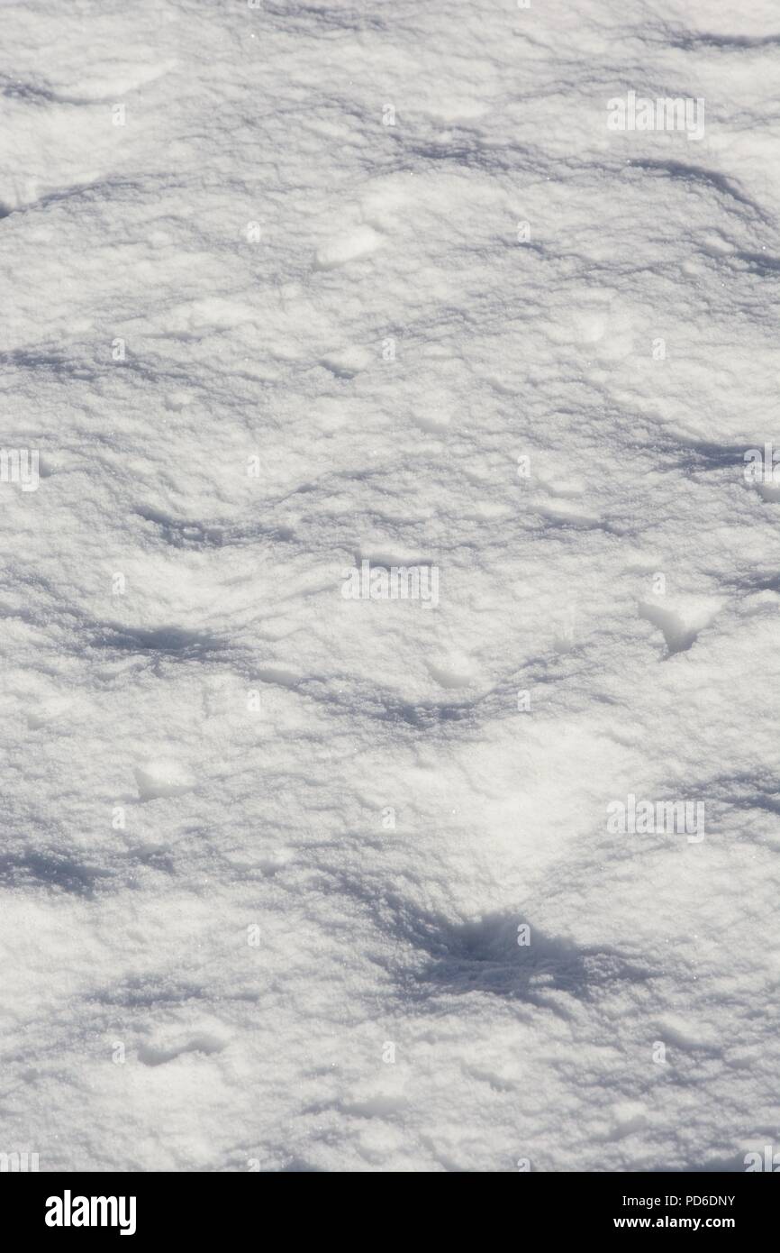 Undulating snow background, England, UK, Western Europe Stock Photo - Alamy