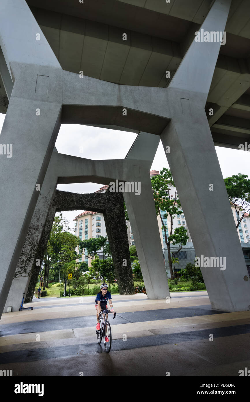 Cyclist riding bicycle under Benjamin Sheares Bridge heading towards ...