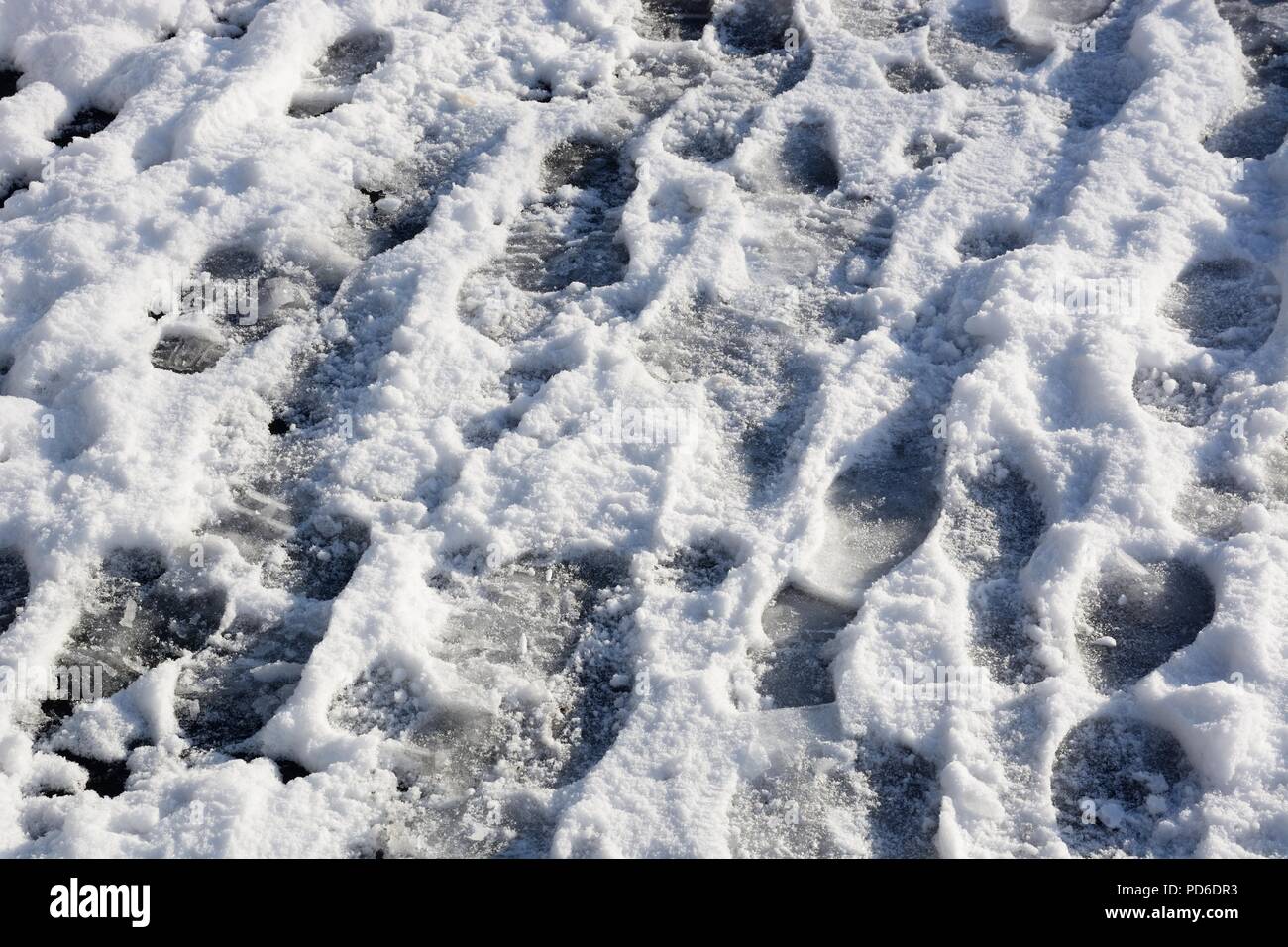 Footprints in shallow snow, England, UK, Western Europe Stock Photo - Alamy