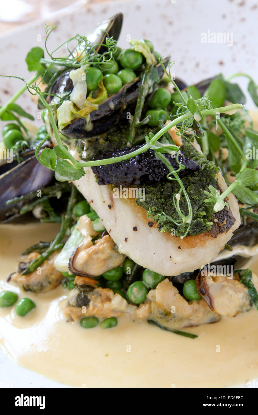 Plated mussels dinner hi-res stock photography and images - Alamy