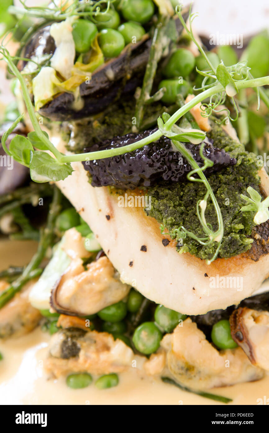 Plated fish main hi-res stock photography and images - Alamy