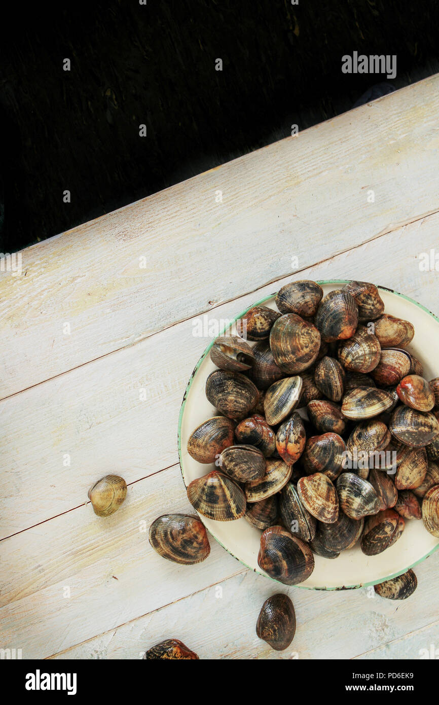 Clams alive hi-res stock photography and images - Alamy