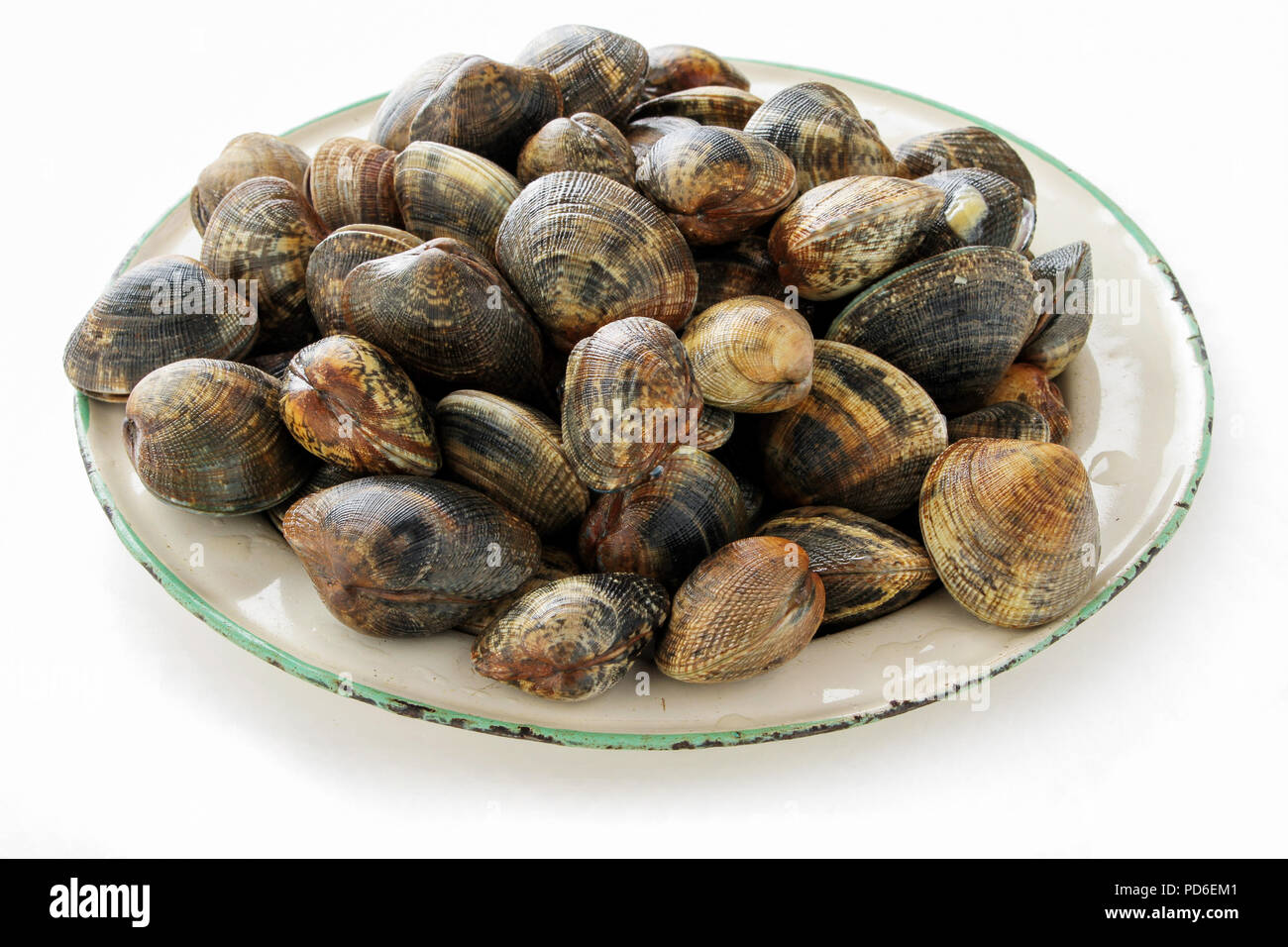Clams shellfish Cut Out Stock Images & Pictures - Alamy