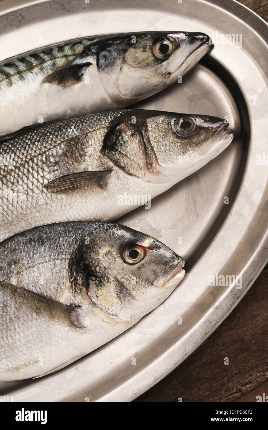 Saltwater fish selection hi-res stock photography and images - Alamy