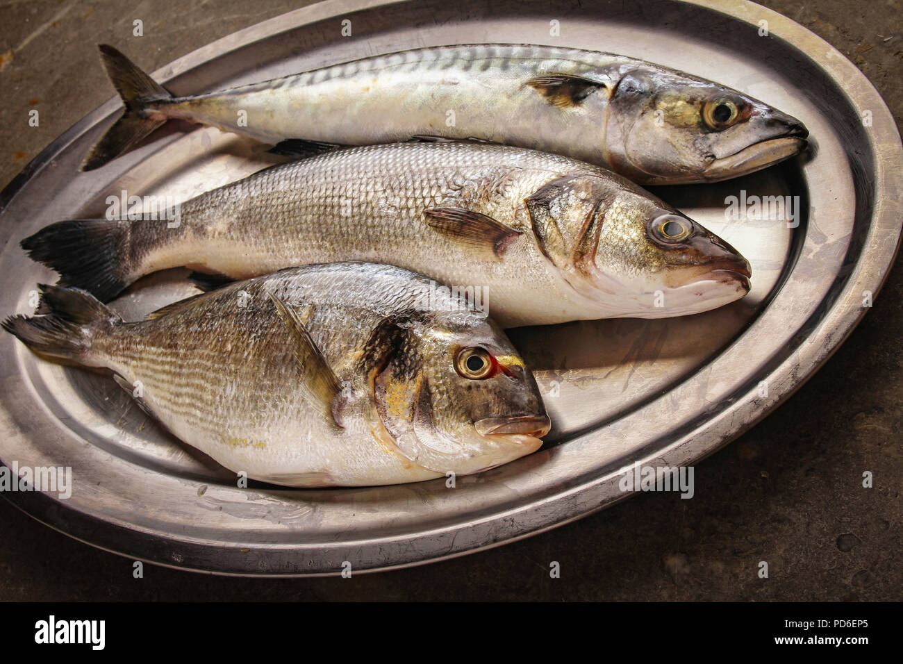 Saltwater fish selection hi-res stock photography and images - Alamy
