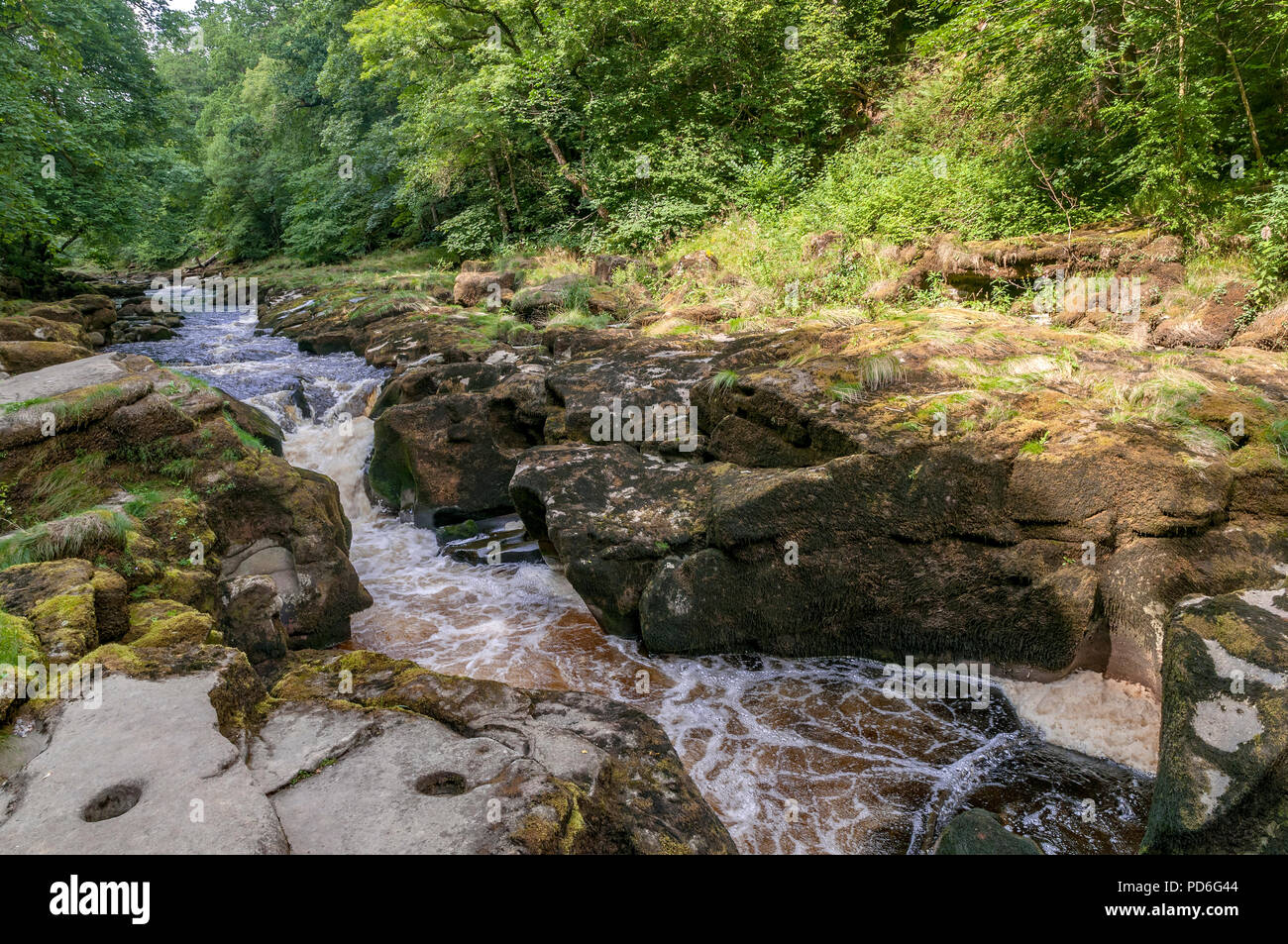 Bolton Abbey. West Yorkshire. River Wharfe. The Strid waterfall. Strid ...