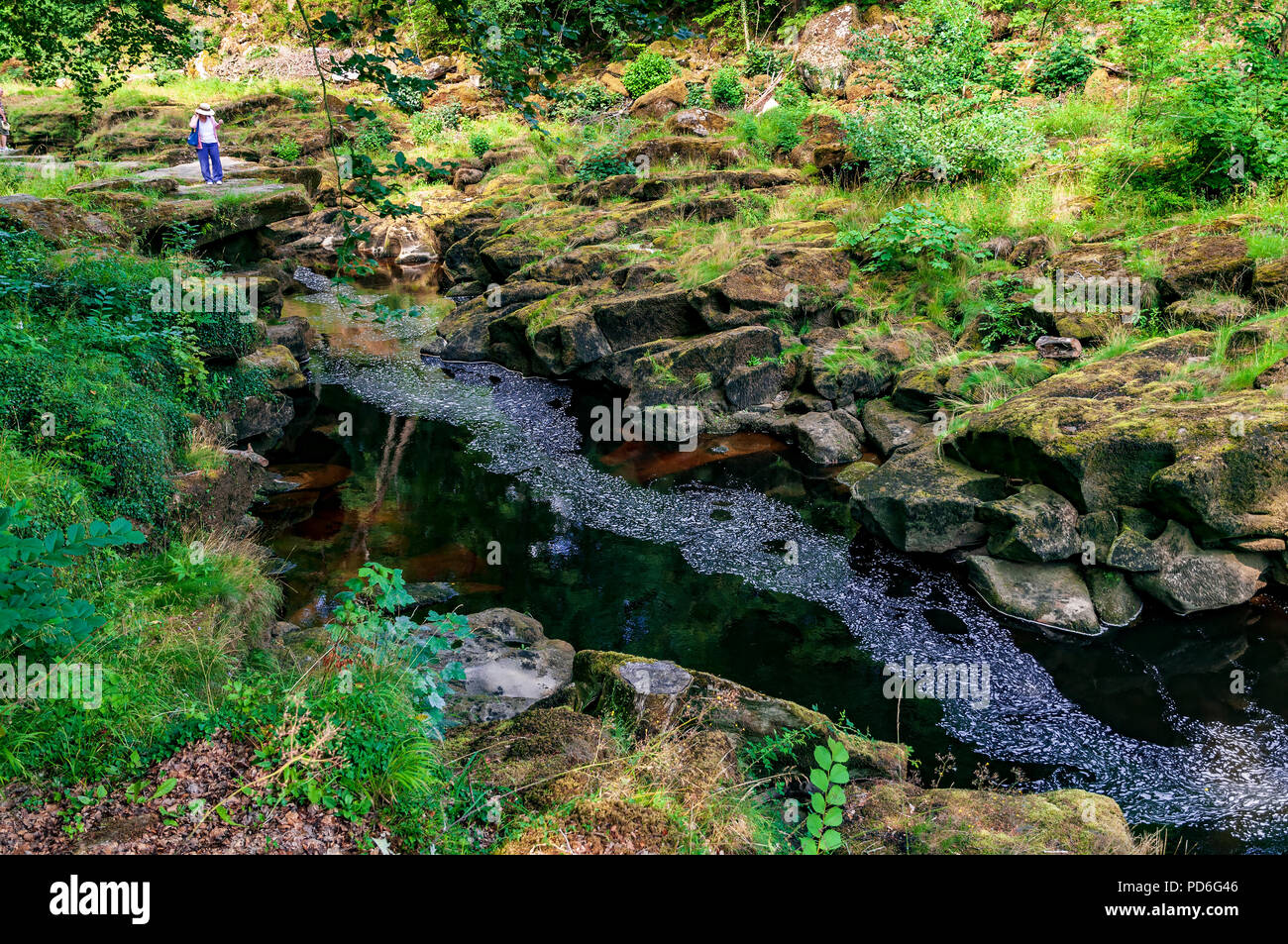 Bolton Abbey. West Yorkshire. River Wharfe. The Strid waterfall. Strid ...