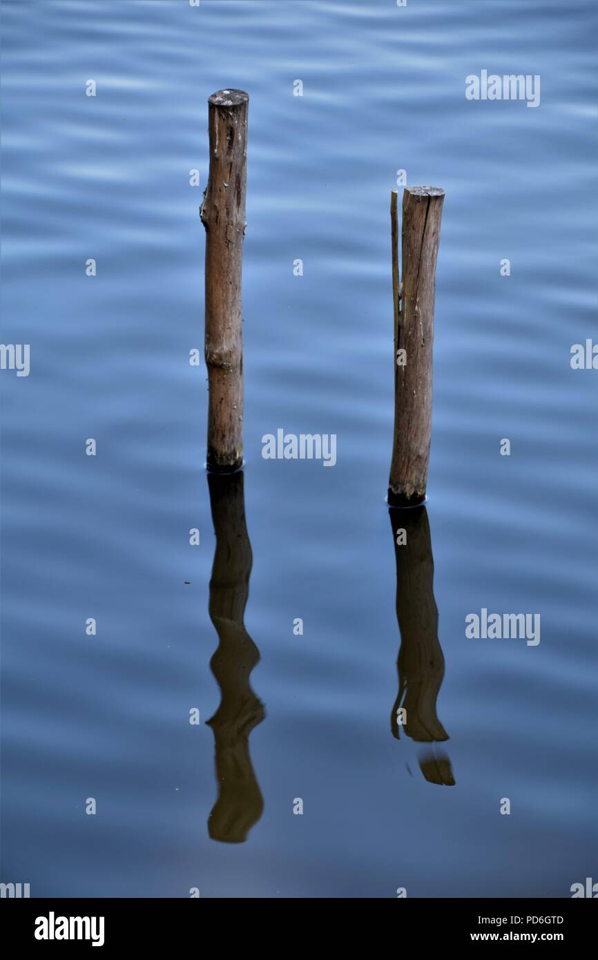 Wood sticks in water hi-res stock photography and images - Alamy