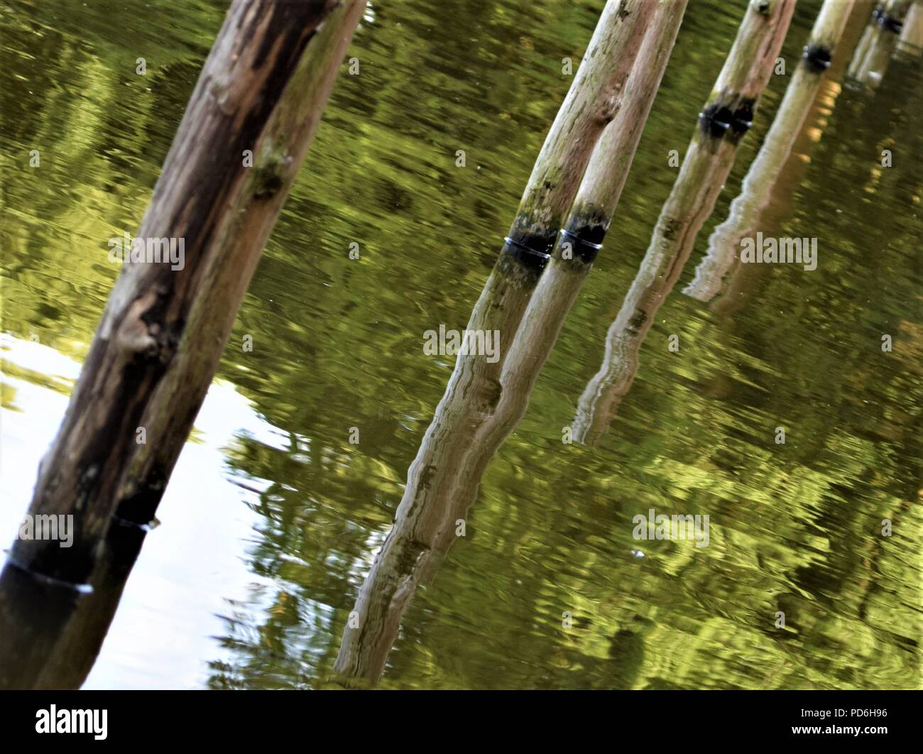 Reflection of two wood sticks in the water Stock Photo - Alamy