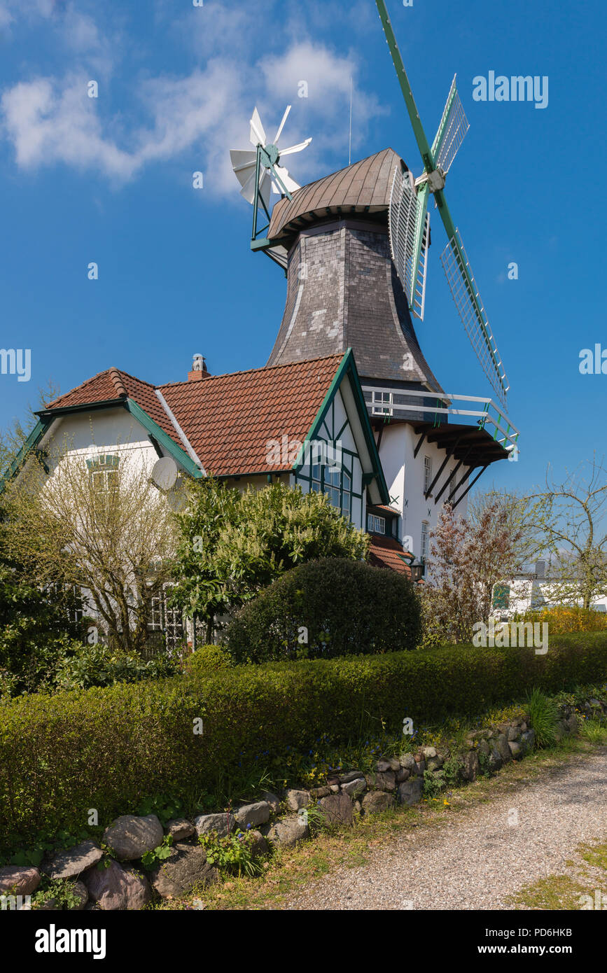 Windmill Anna , Mill museum and café, Norby, Rieseby, landscape of ...