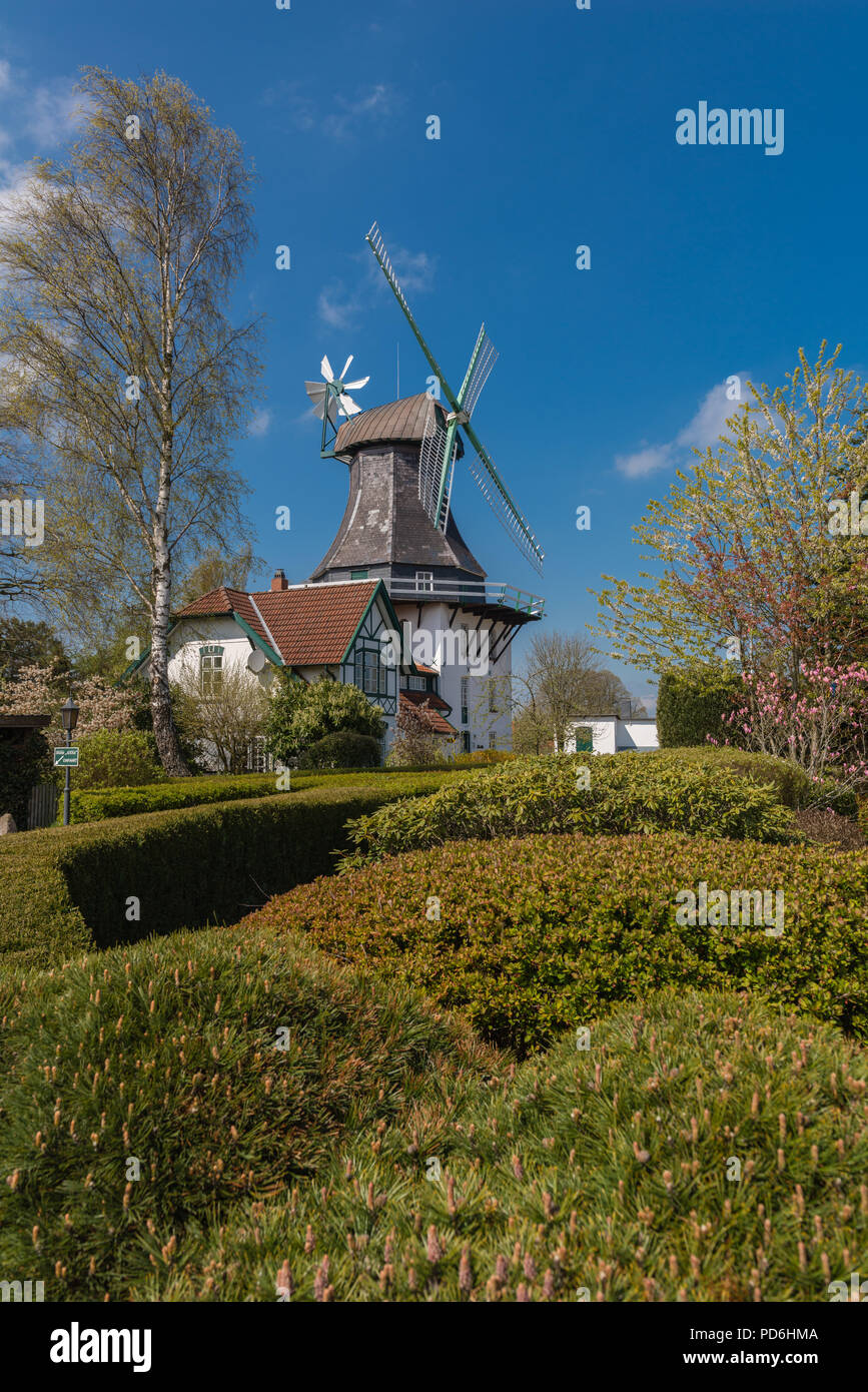 Windmill Anna , Mill museum and café, Norby, Rieseby, landscape of ...