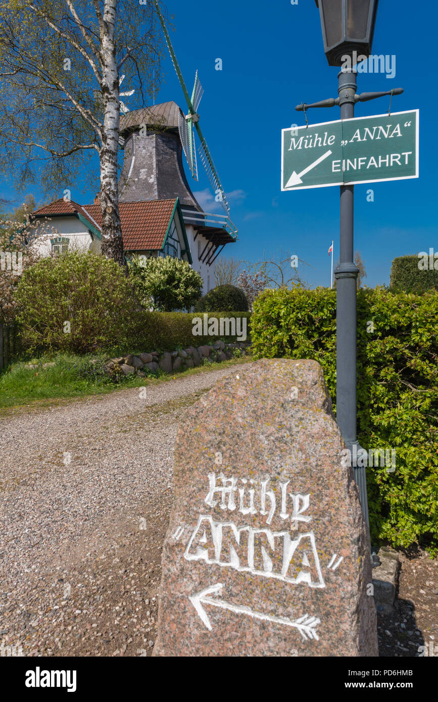 Windmill Anna , Mill museum and café, Norby, Rieseby, landscape of ...