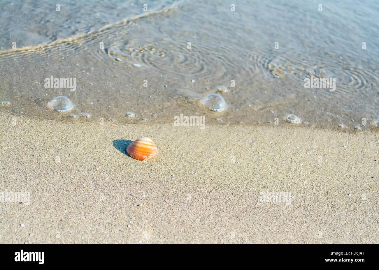 Shell on edge water hi-res stock photography and images - Alamy