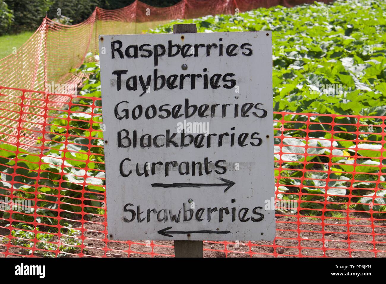 Kenyon Hall Farm Stock Photo - Alamy