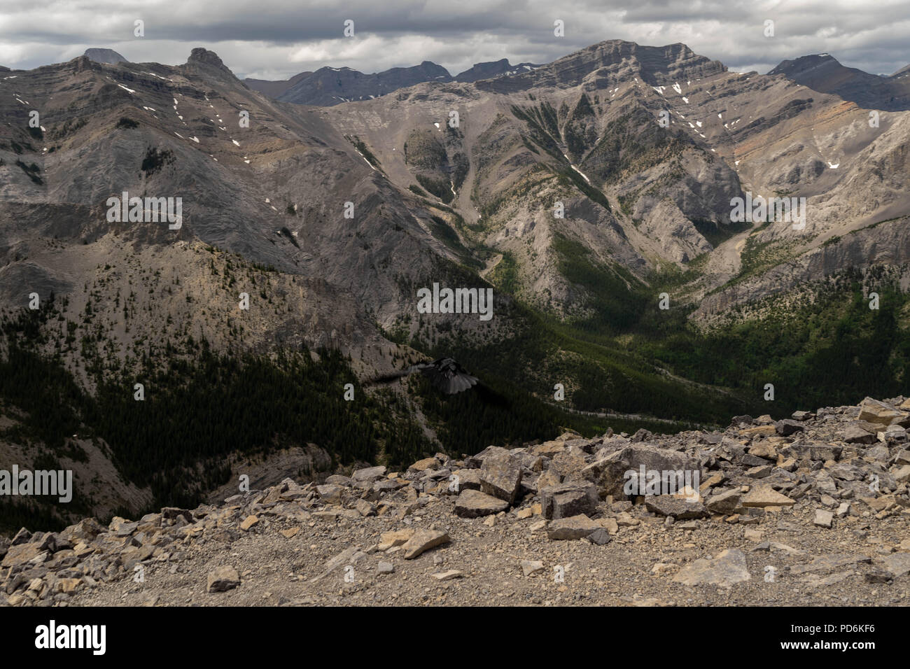 Yamnuska mountain hi-res stock photography and images - Alamy