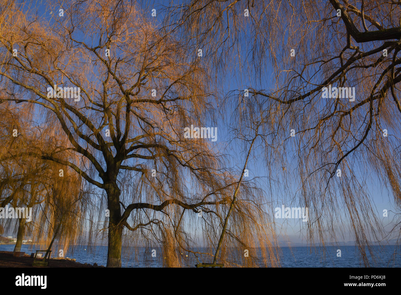 In neuchatel hi-res stock photography and images - Alamy