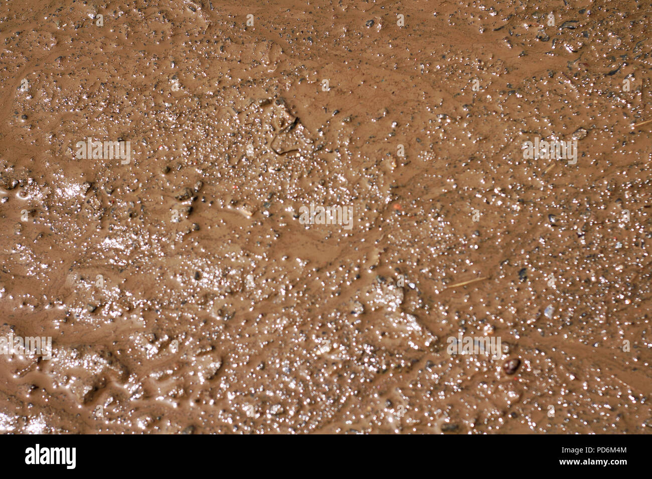 Muddy Puddle Road After Rain High Resolution Stock Photography and ...