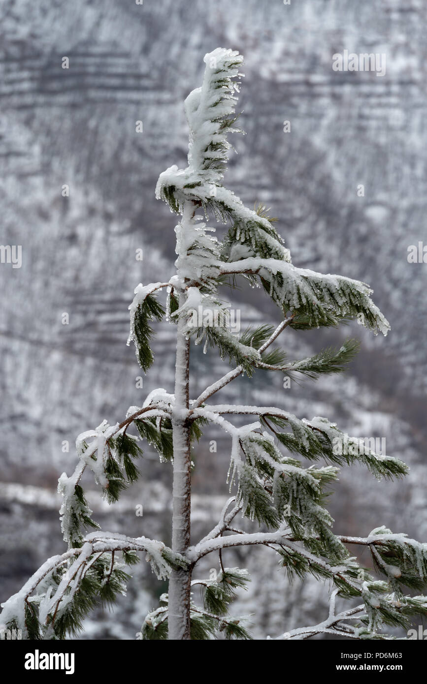Rain accumulation hi-res stock photography and images - Alamy