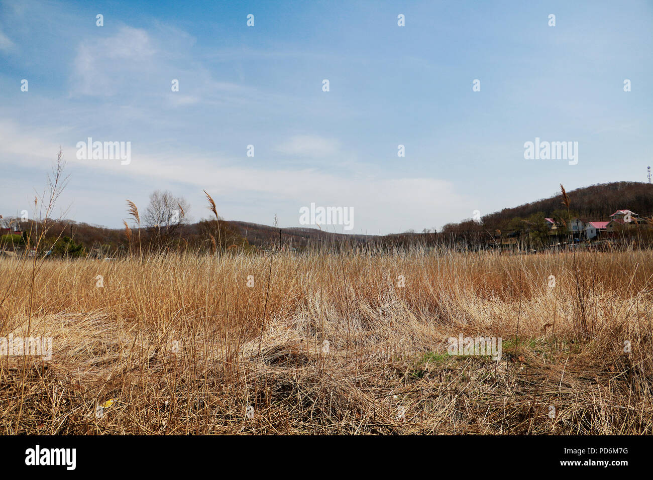 Desolate Field High Resolution Stock Photography and Images - Alamy