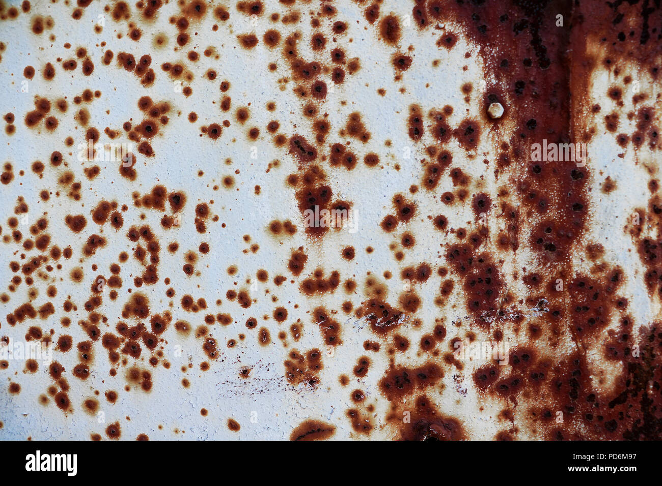 Old white metal wall with red rusty dots and stains background. Iron ...