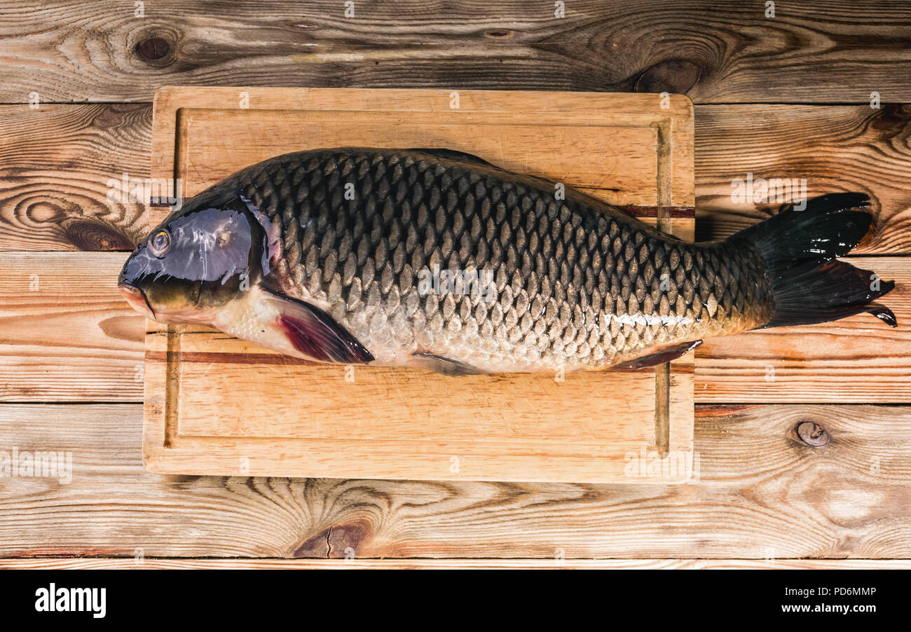 Fresh fish horizontal hi-res stock photography and images - Alamy