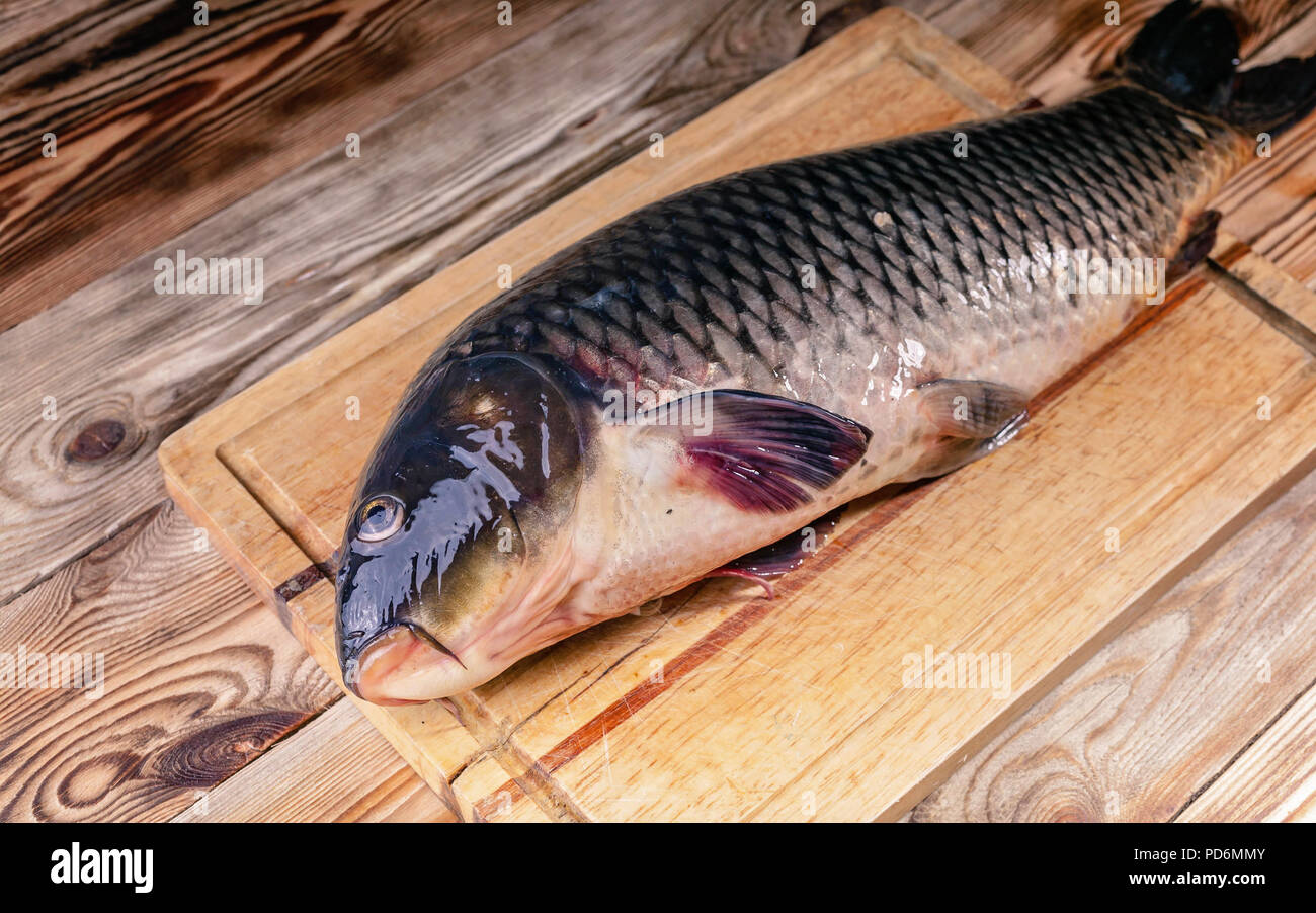 Big carp hi-res stock photography and images - Alamy