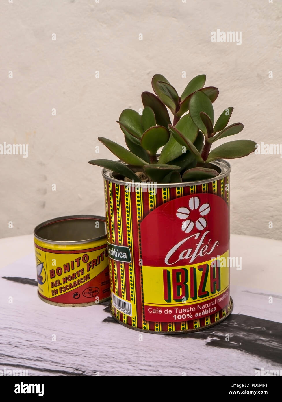 Food tin cans as flower planters Stock Photo - Alamy