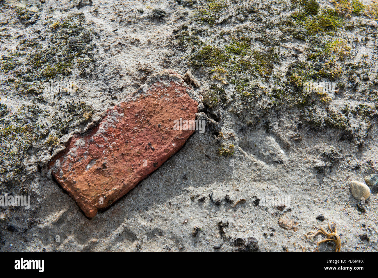 Norway, Svalbard, Spitsbergen, Amsterdam Island aka Amsterdamoya ...