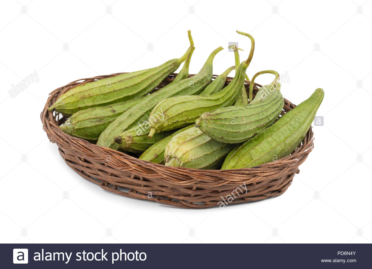 Turai Stock Photos & Turai Stock Images - Alamy