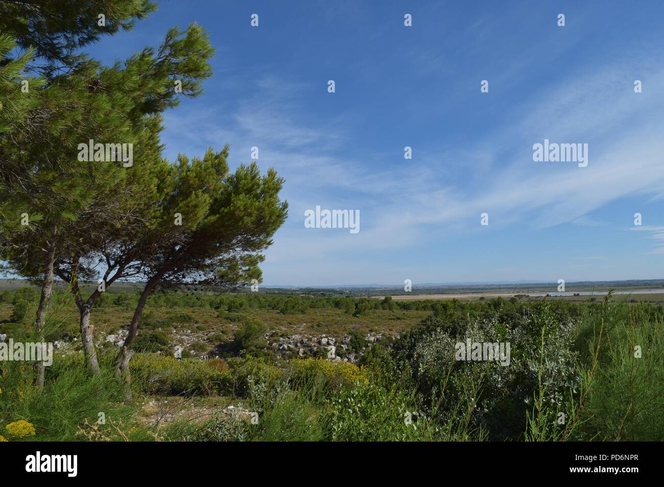 Landview hi-res stock photography and images - Alamy