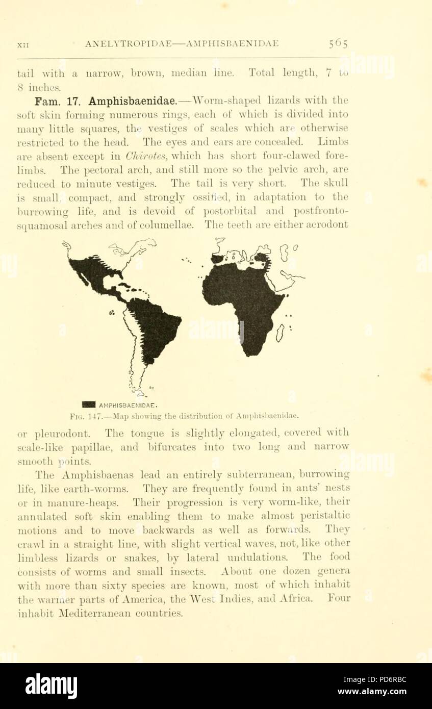 Amphibia and reptiles (Page 565 Stock Photo - Alamy