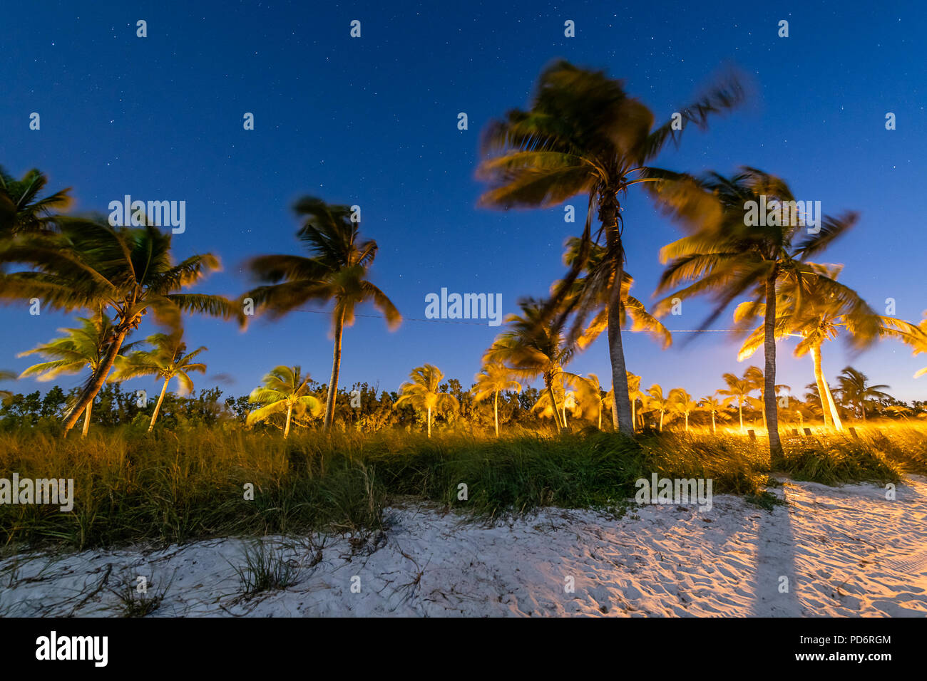 Smathers Stock Photos & Smathers Stock Images - Alamy