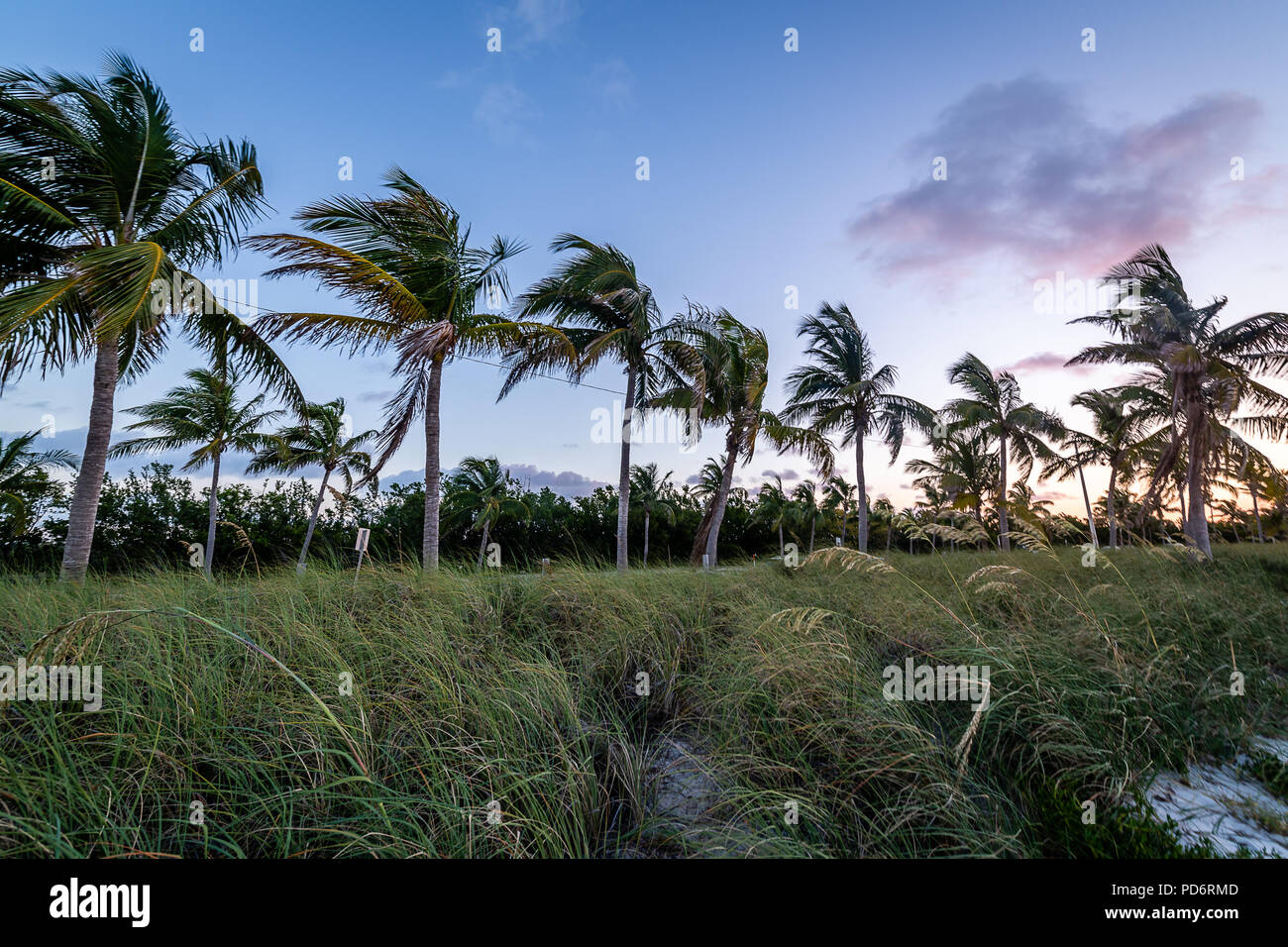 Smathers hi-res stock photography and images - Alamy