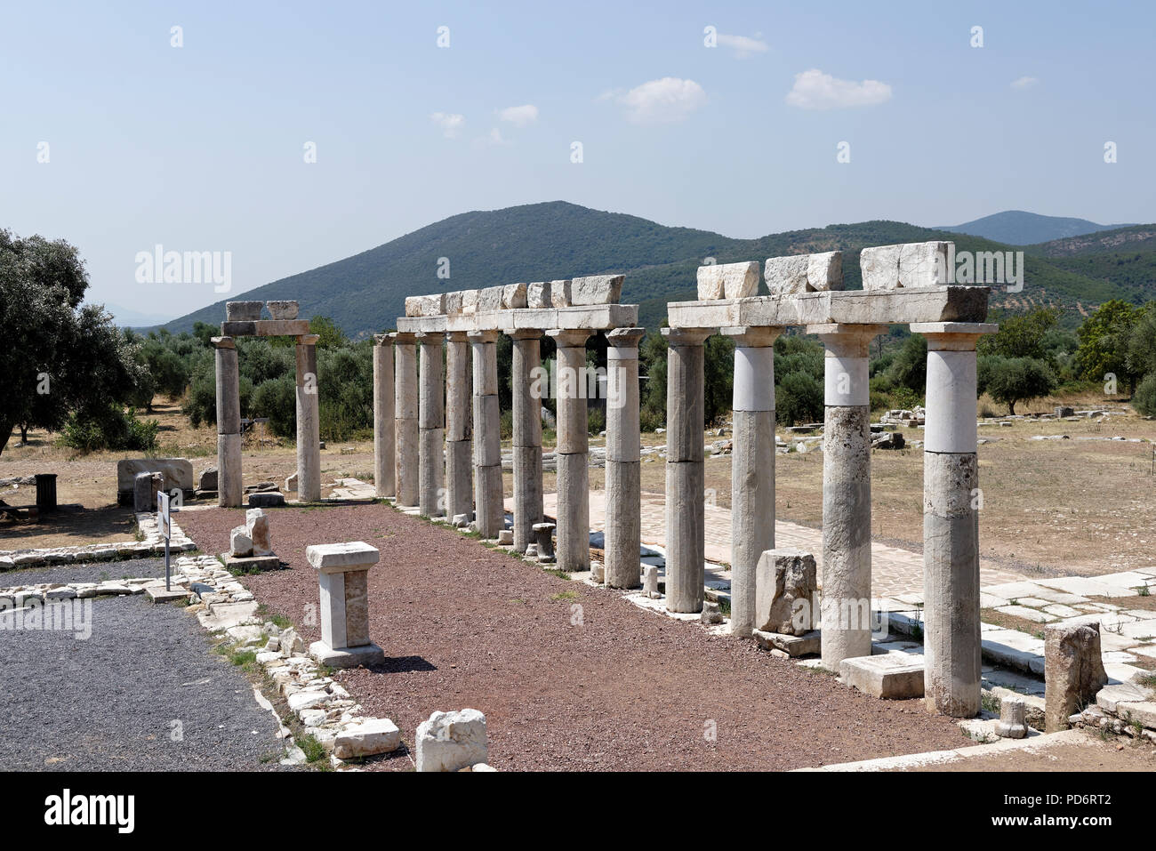 Doric style Stoa portico on the west side of the Agora. Ancient Messene ...
