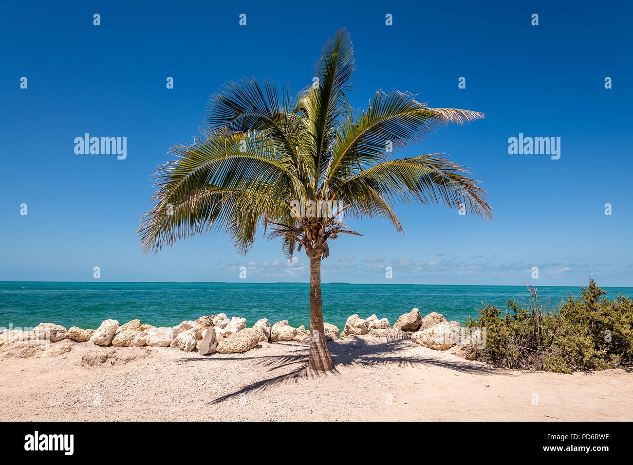 Fort Zachary Taylor Historic State Park Waterfront Stock Photo - Alamy