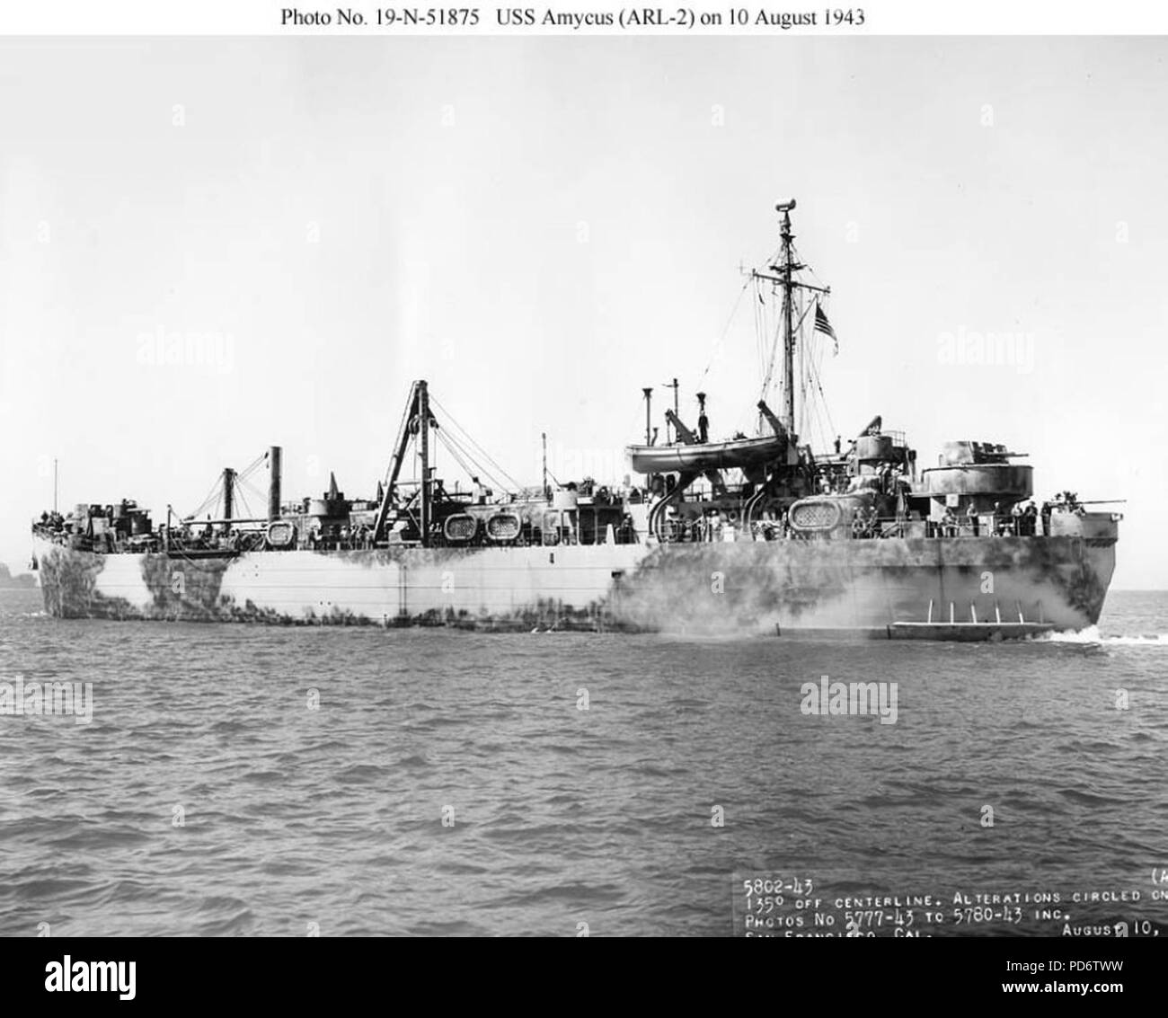 Amycus hi-res stock photography and images - Alamy