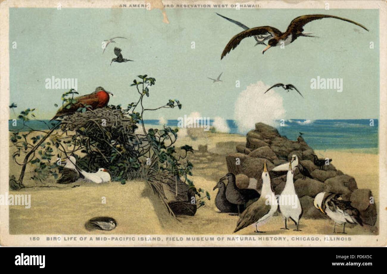 An American Bird Reservation West of Hawaii, 150, Bird life of a mid ...